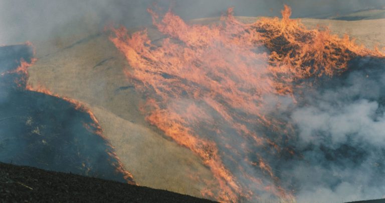 KUCI 88.9 FM – Irvine, Orange County Public Radio